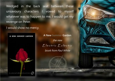 Submissions and Updates – Noreen Lace